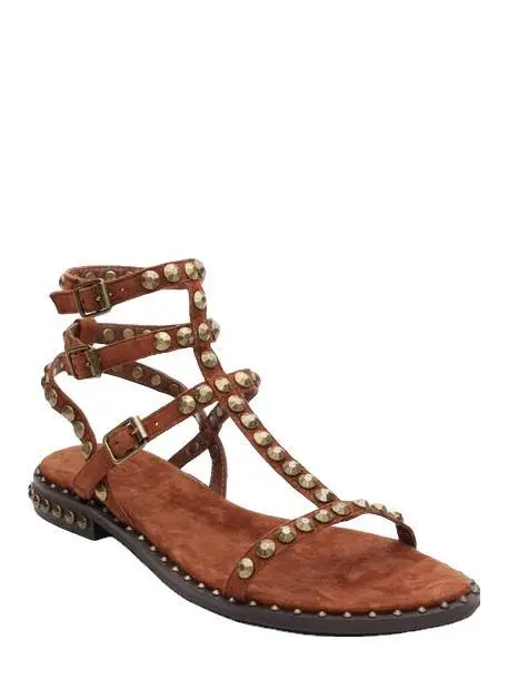 Ash Studded Gladiator Sandals - Tajine