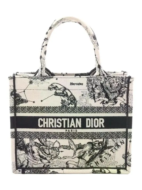 Dior 2021 Small Zodiac Toile De Jouy Book Tote Bag - White