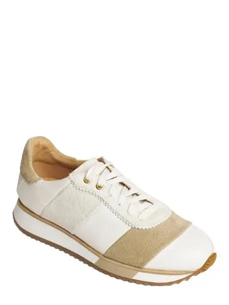 THE OFFICE OF US The Quinn Lace-up Sneakers - Biscotti