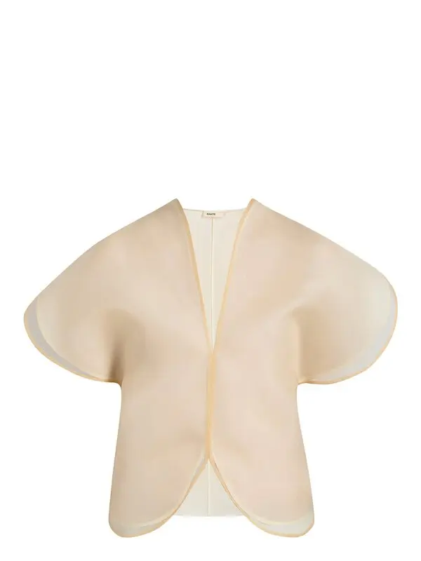 Khaite Briar Silk-organza Top - Nude