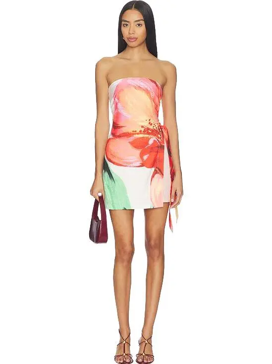 Minkpink Zinnia Tie Side Mini Dress - Painterly Floral