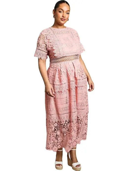 Coast Embroidered Lace Midi Dress - Blush