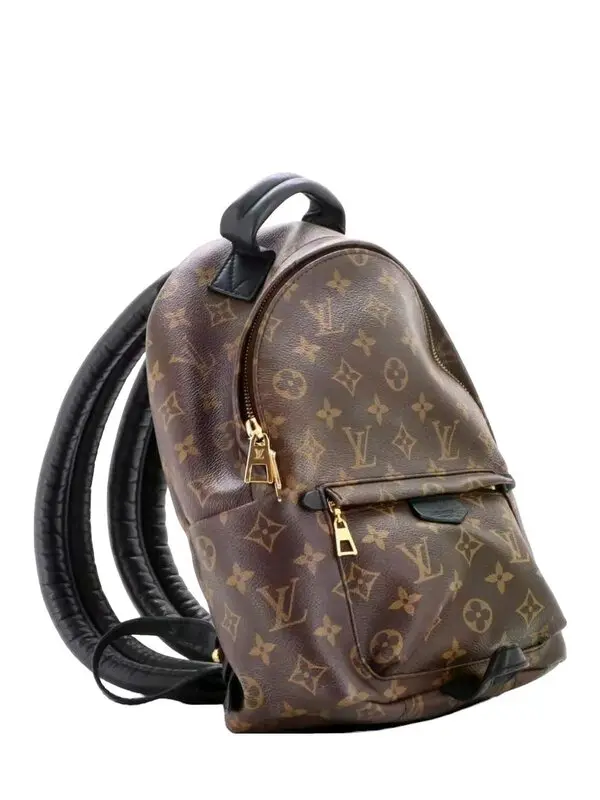 LOUIS VUITTON Palm Springs Monogram Canvas Pm Backpack - Brown