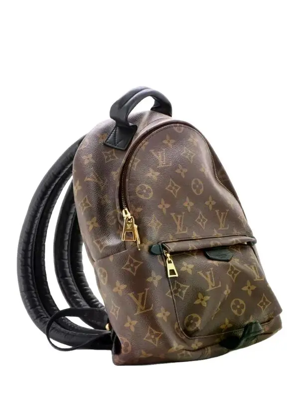 LOUIS VUITTON Palm Springs Monogram Canvas Pm Backpack - Brown