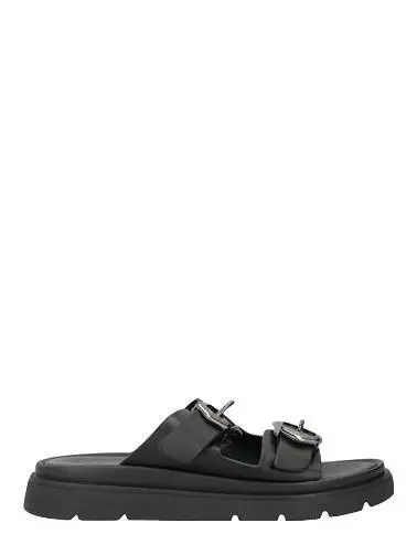DIVINE FOLLIE Leather Buckled Sandals - Black