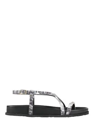 DIVINE FOLLIE Thong Sandal - Grey