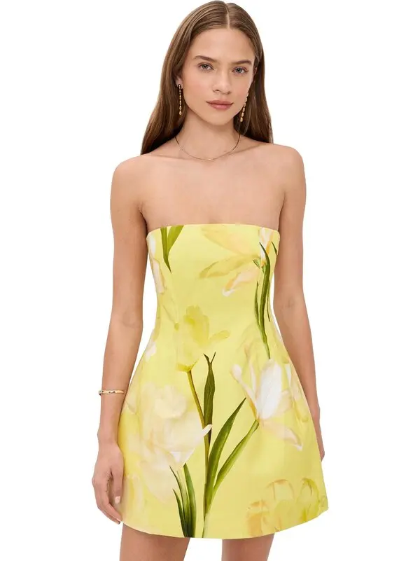 Cara Cara Ines Mini Dress - Lillian Lemon