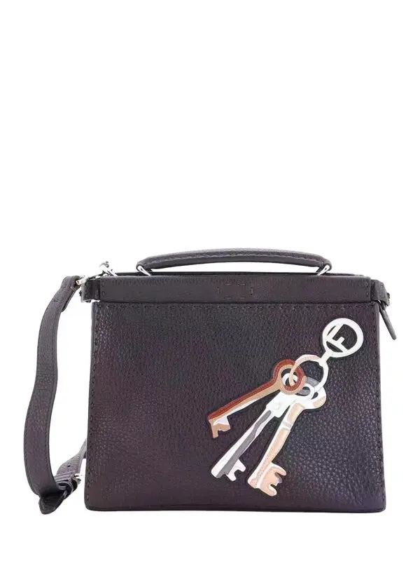 Fendi Selleria Peekaboo Fit Leather Crossbody Bag With Applique - Brown