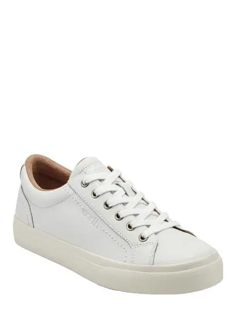 Earth Dailey Lace Up Sneakers - White