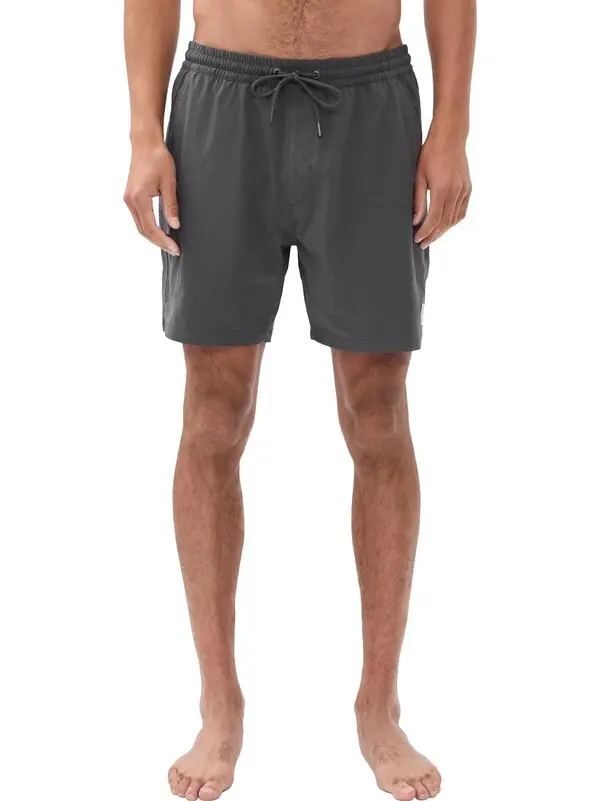 Marine Layer Lined Sport & Swim Shorts 6 - Asphalt