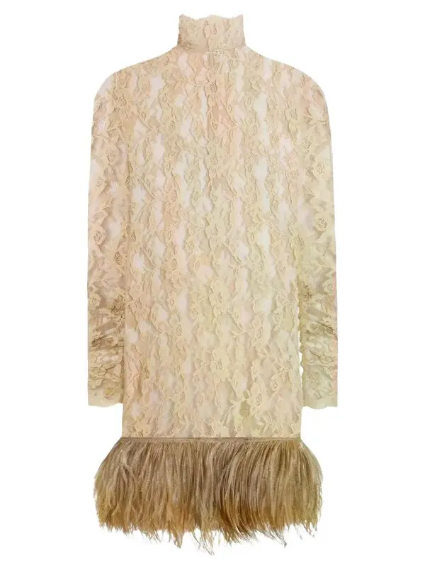 Dolce & Gabbana Lace Feather Mini Dress - Neutrals