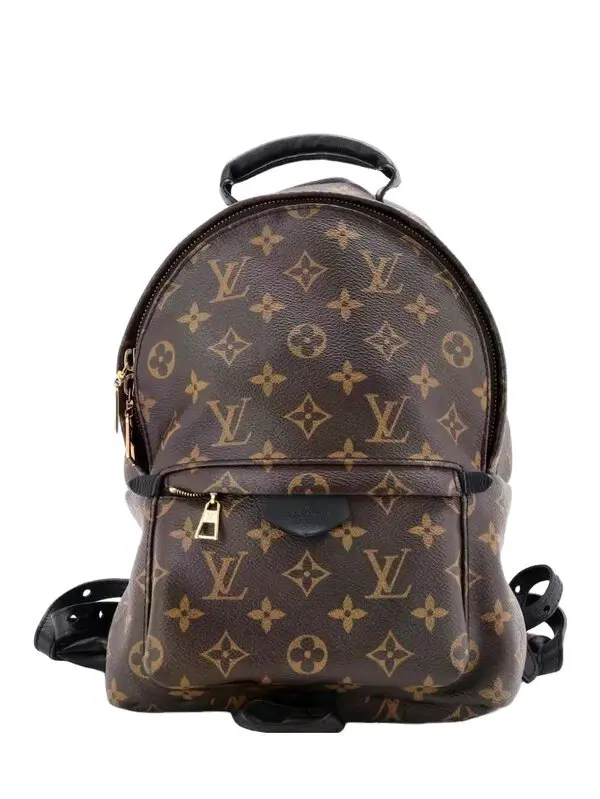 LOUIS VUITTON Palm Springs Monogram Canvas Pm Backpack - Brown