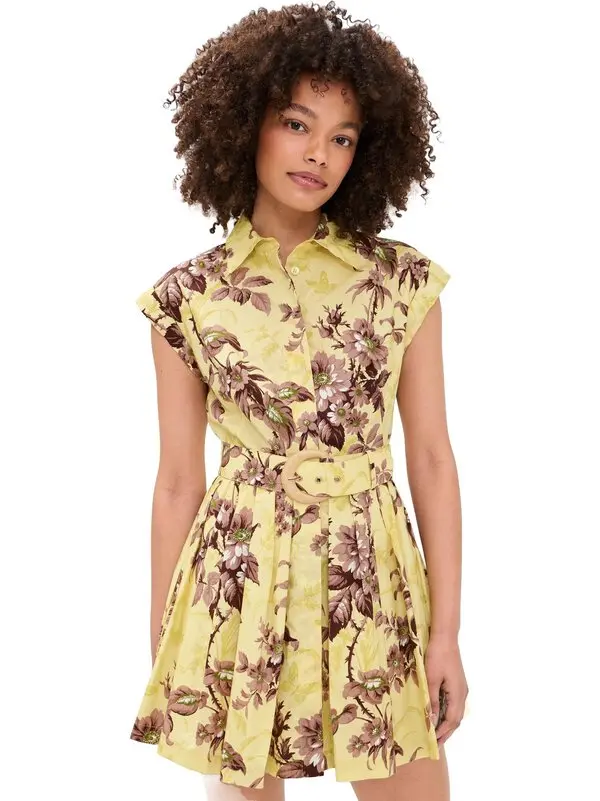 Cara Cara Octavia Mini Dress - Windsor Lemon