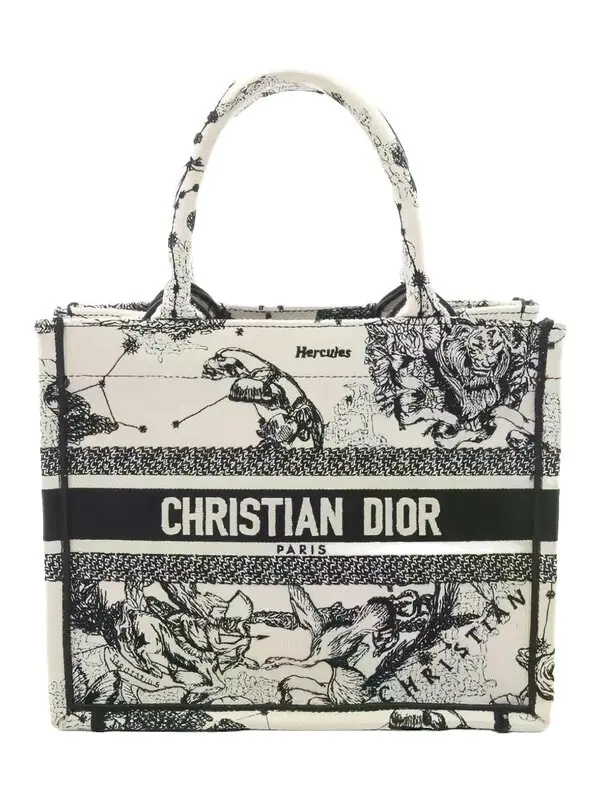Dior Small Book Tote - White