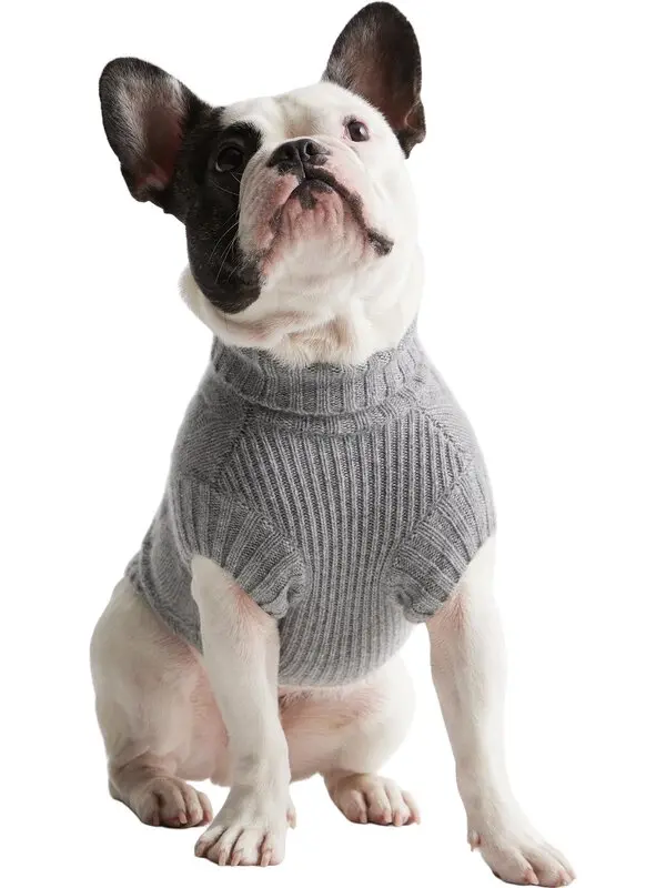 Quince Cashmere Cable Knit Dog Sweater - Heather Grey