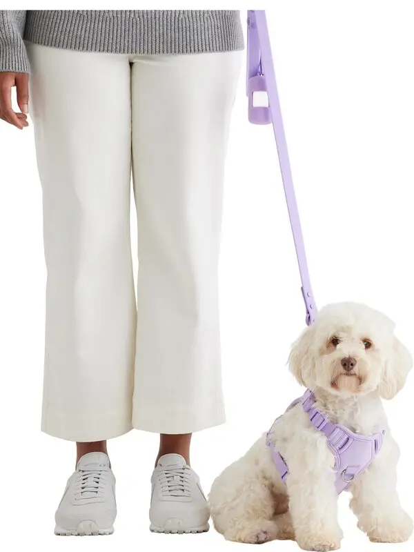 Quince Dog Harness Walk Kit - Lavender