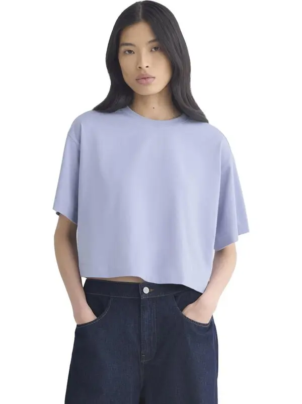 Everlane Forever Jersey Cropped T-shirt - Aleutian