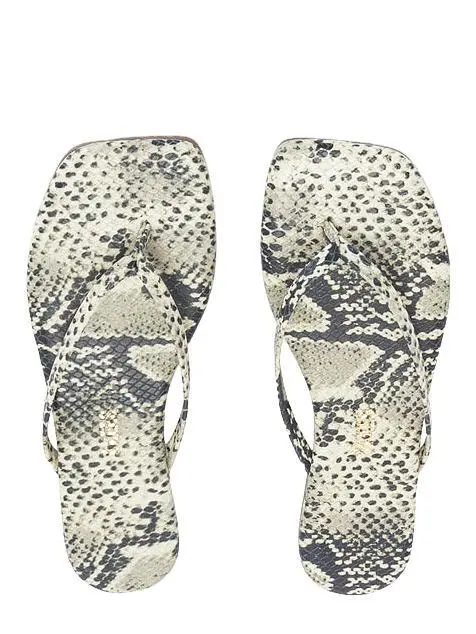 Tkees Square Toe Lily Sandal - Grey