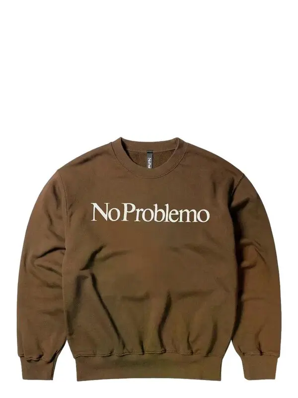 NO PROBLEMO Ribbed Crew-neck Pullover Sweater - Brown