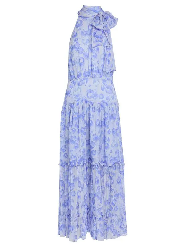 Rixo Floral-print Chiffon Maxi Dress - Light Blue