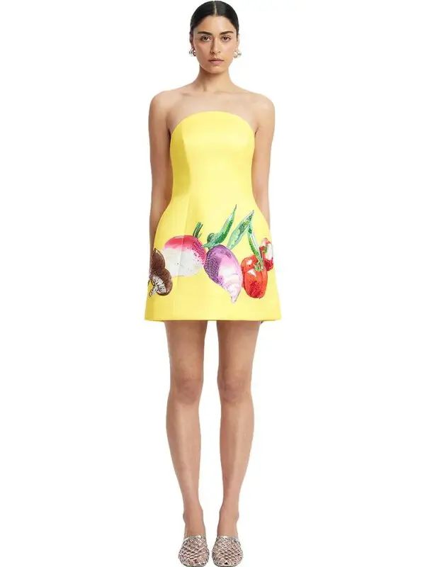 LEO LIN Zaria Bustier Mini Dress - Harvest Print