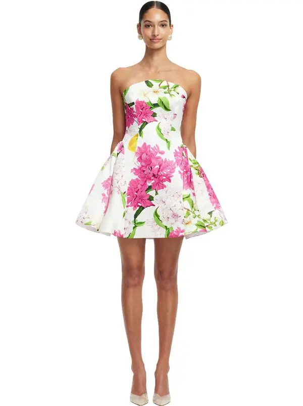 LEO LIN Reese Bustier Mini Dress - Floral Pear Print