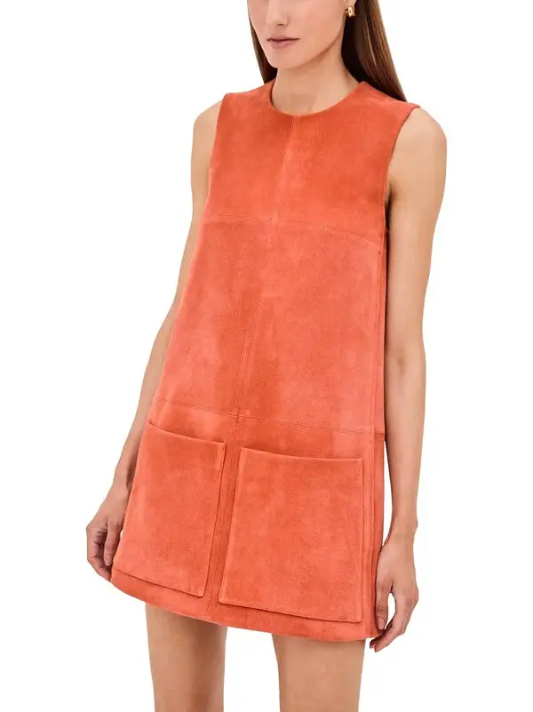 Alexis Dakota Mini Dress - Amber Suede