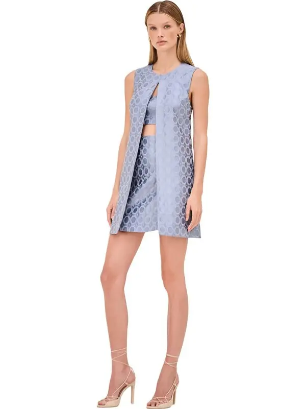 Alexis Asha Mini Dress - Blue Jacquard