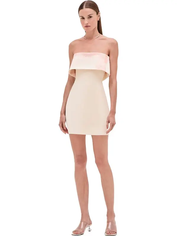 Alexis Nava Mini Dress - Pink Brushstroke