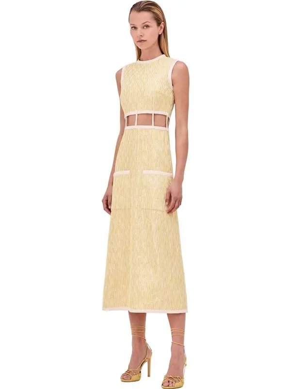 Alexis Renee Jacquard Midi Dress - Gold