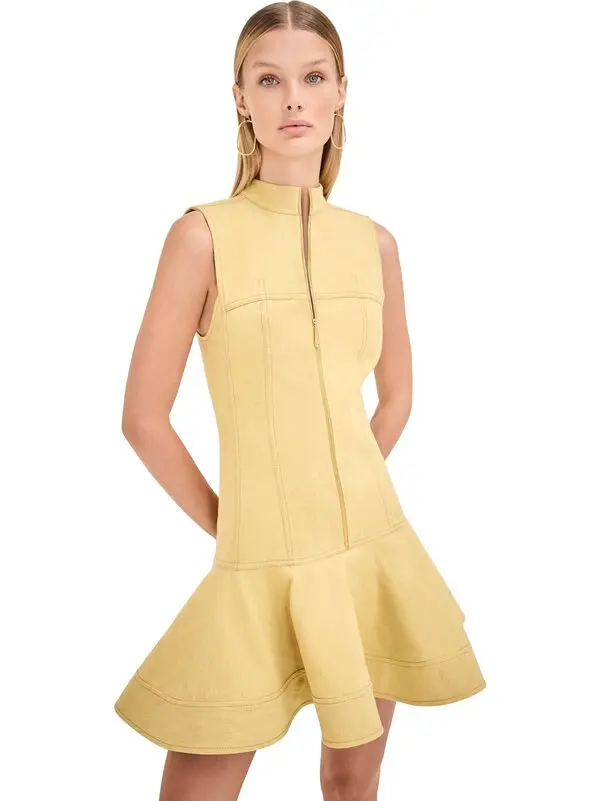 Alexis Taylin Mini Dress - Husk