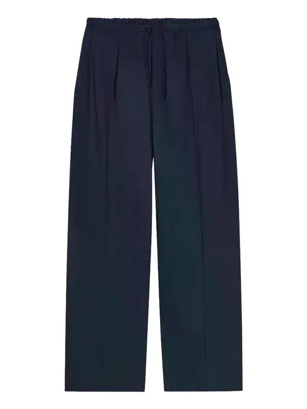 Closed Drawstring Pleated Trousers - Blue