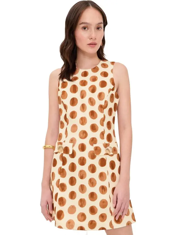 Cara Cara Posie Mini Dress - Celeste Spot Ginger