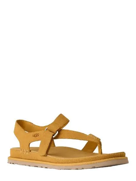 UGG Toe Post Suede Sandal - Wheat Field