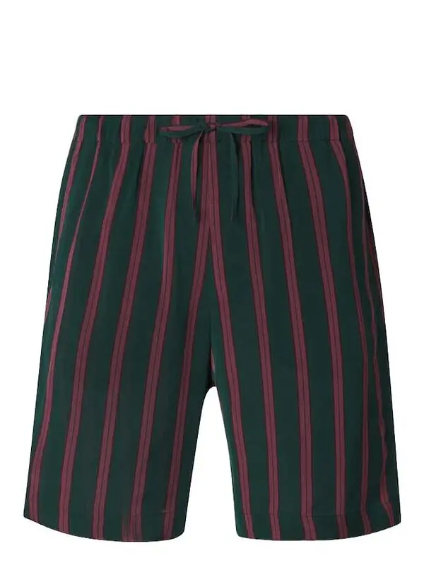 Dries Van Noten Striped Shorts - Green