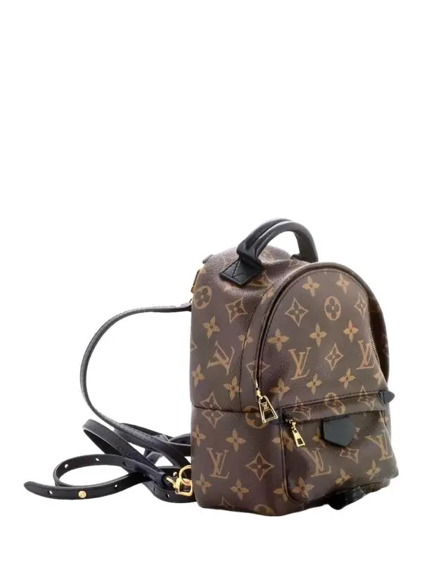 LOUIS VUITTON Palm Springs Monogram Canvas Mini Backpack - Brown