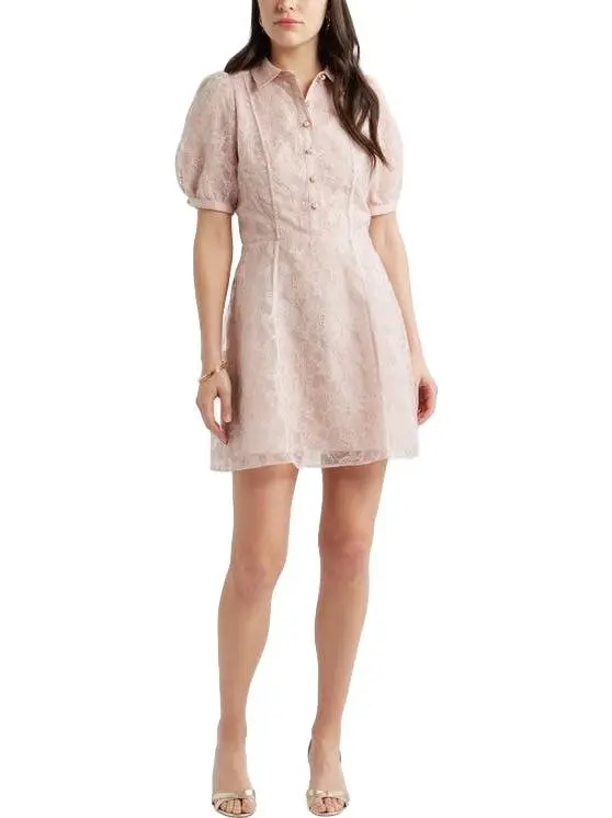 Chelsea28 Floral Embroidered Puff Sleeve Mini Dress - Pink Sepia