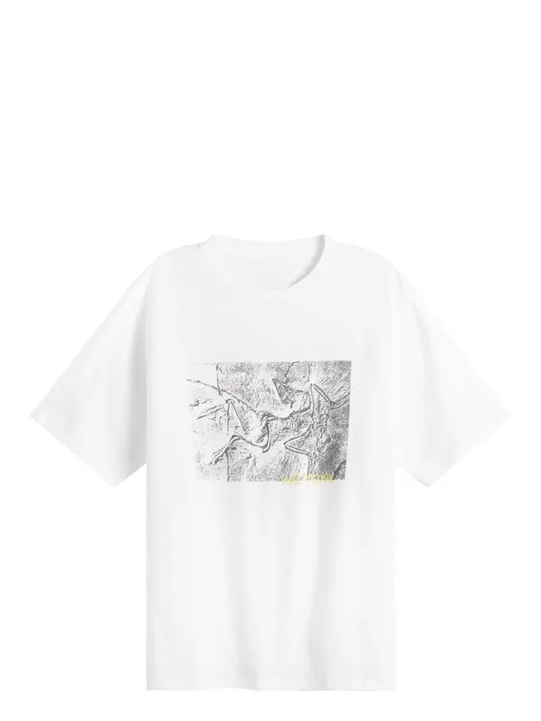 Arc'teryx Kragg Cotton Lithographica T-shirt - White Light