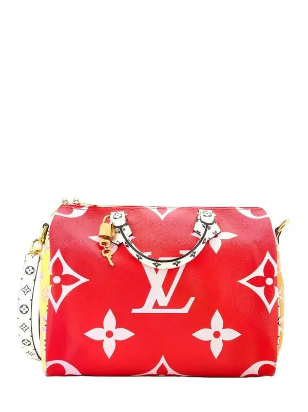 LOUIS VUITTON Speedy Bandouliere Limited Edition Colored Monogram Giant 30 - Multicolour