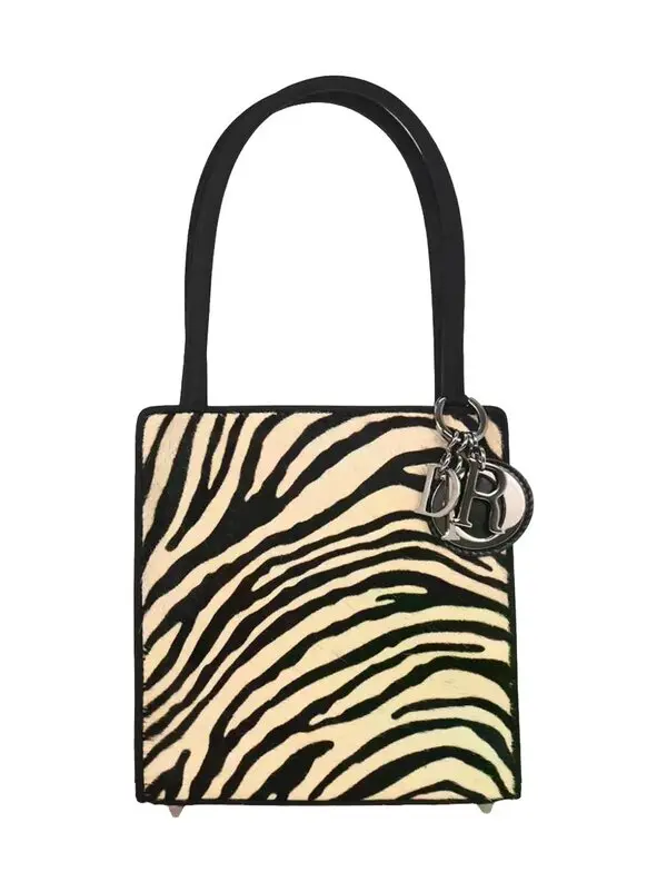 Dior 1999 Zebra Pony-hair Handbag - White