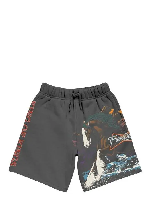 FREE REFILLS Kings Shorts - Grey