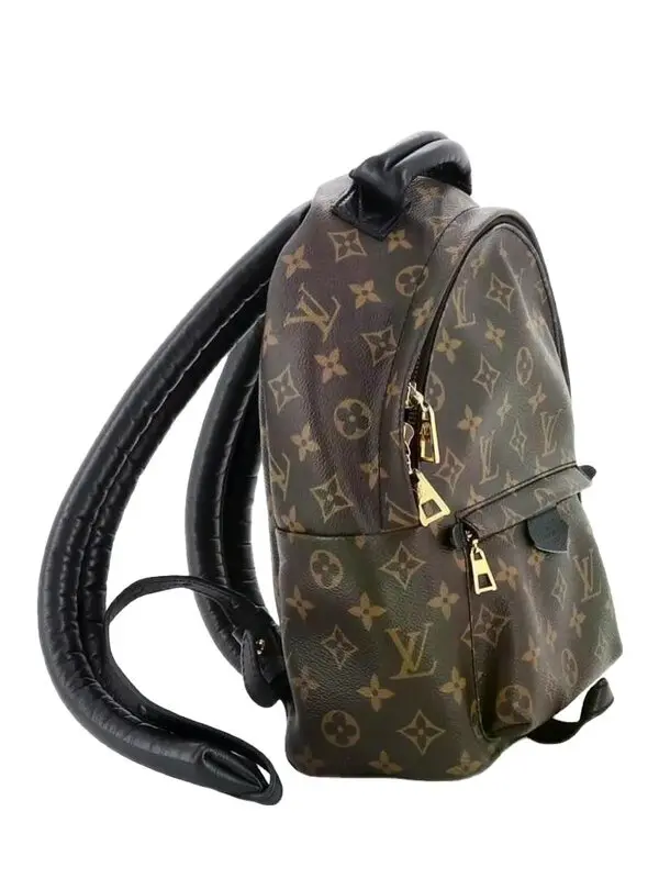 LOUIS VUITTON Palm Springs Monogram Canvas Pm Backpack - Brown