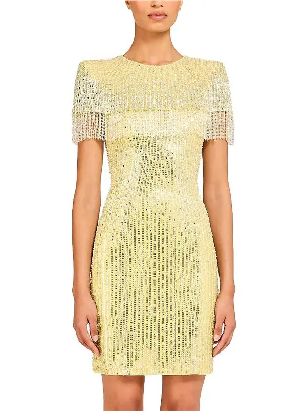 Jenny Packham Sequin-embellished Beaded Mini Dress - Mimosa
