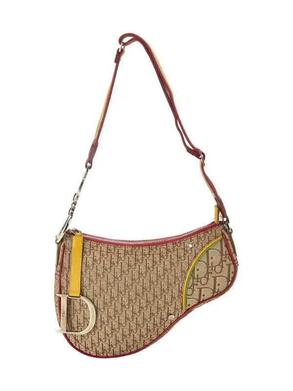 Dior Rasta Saddle Pochette - Multi