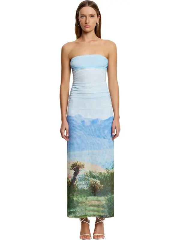 Significant Other Strapless Printed Midi Dress - Arizona Print