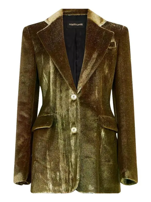 Roberto Cavalli Velvet Blazer - Gold