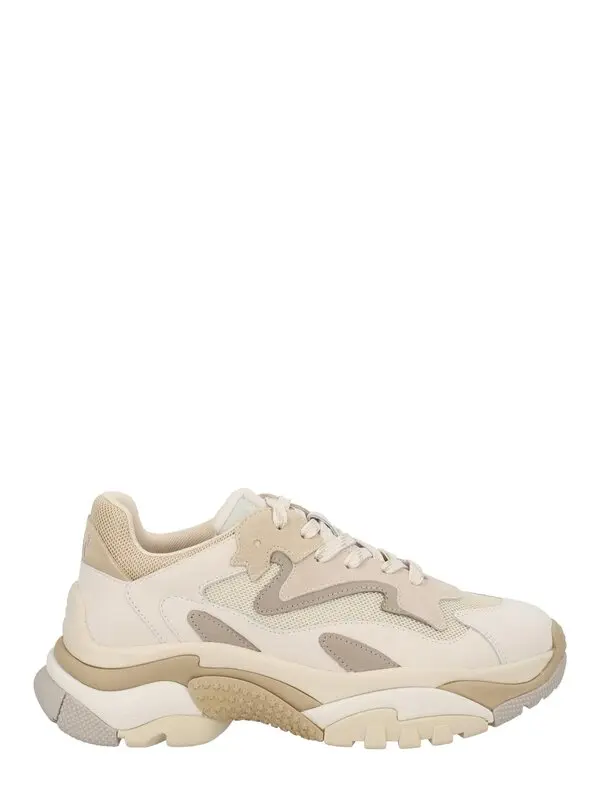 Ash Addict Sneakers - Beige