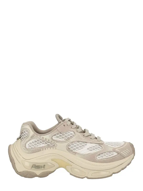 Ash Dragon Sneaker - Beige