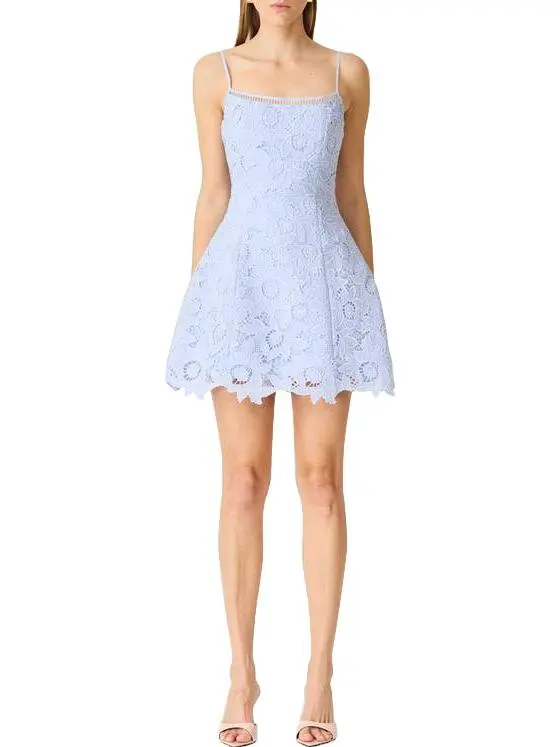 ELLIATT Lace Tulip Party Dress - Powder Blue