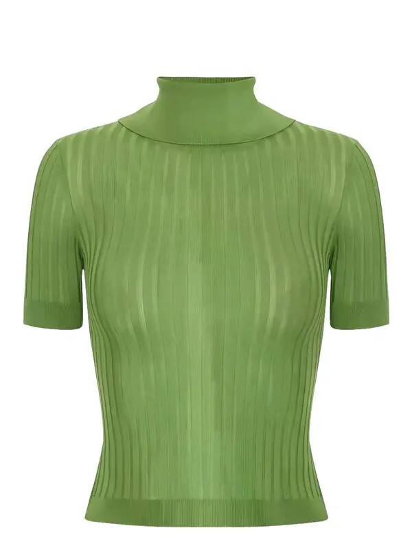 Elisabetta Franchi Open-back Logo-button Sweater - Green